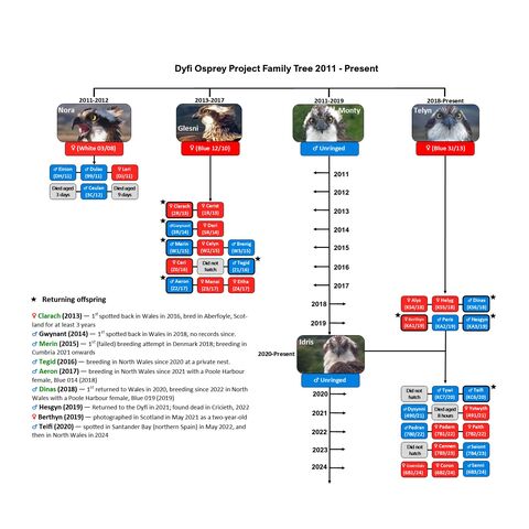 Dyfi Osprey Family Tree | Dyfi Osprey Project